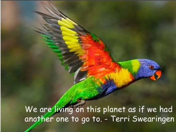 Bring Life Back – Mission Green Delhi