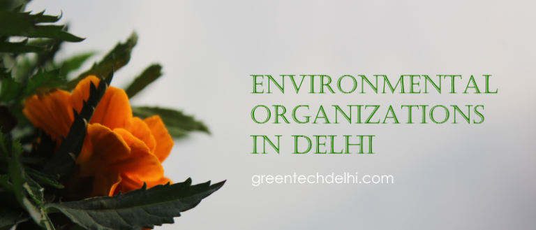Environmental Organizations in Delhi | Mission Green Delhi