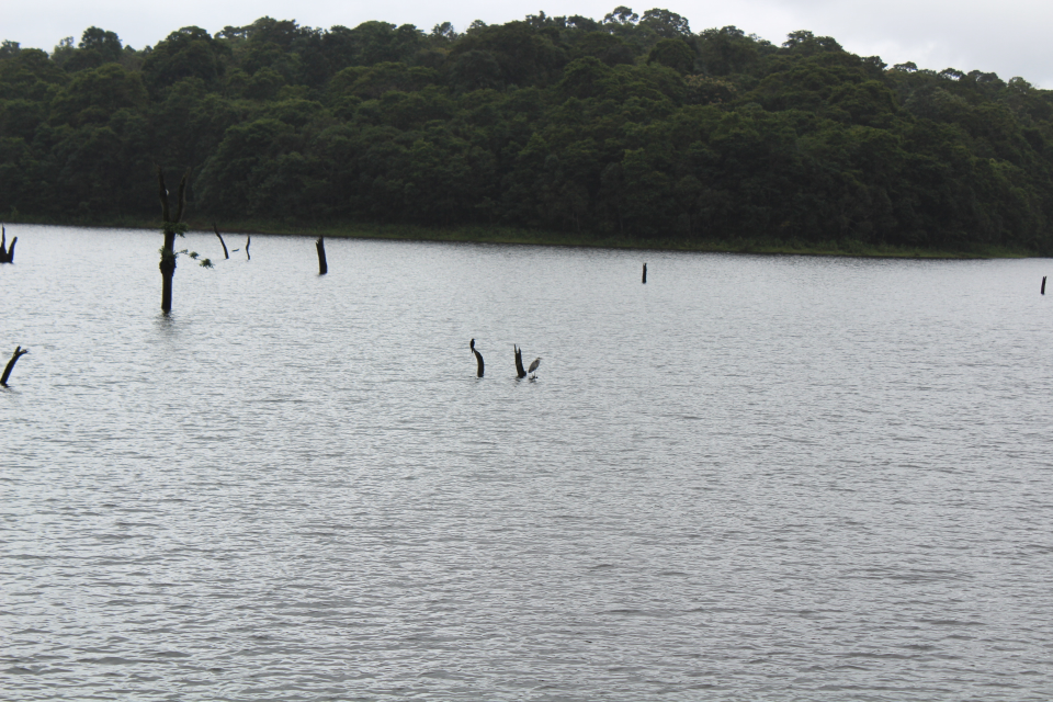 Awesome! Kerala Well Captured! – Mission Green Delhi