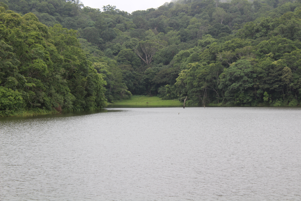 Awesome! Kerala Well Captured! – Mission Green Delhi