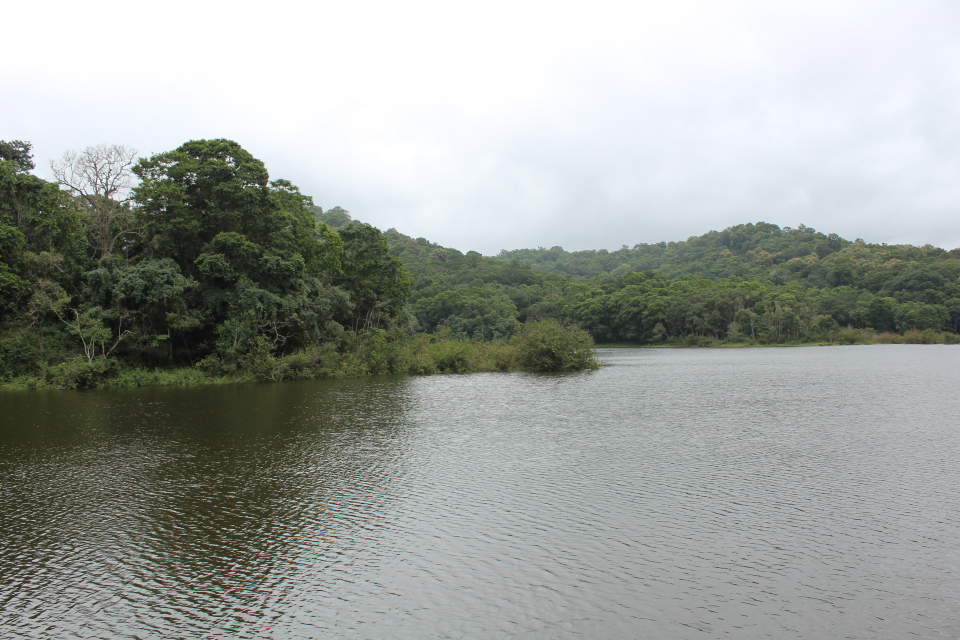 Awesome! Kerala Well Captured! – Mission Green Delhi